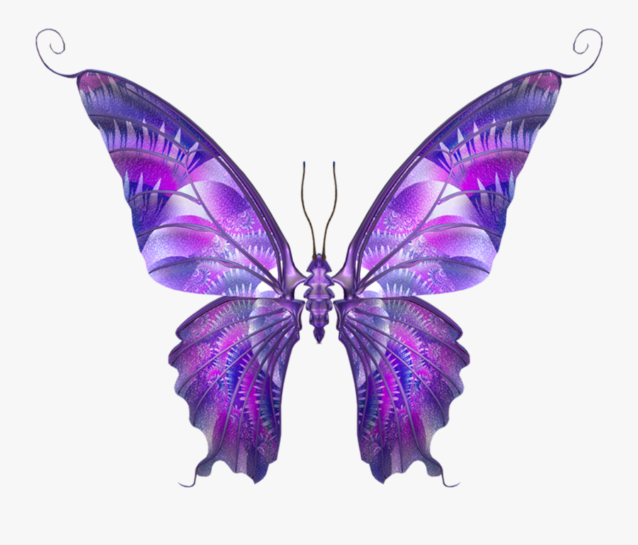 Dog Clipart Purple Papillon - Free Vector Butterfly , Free Transparent ...