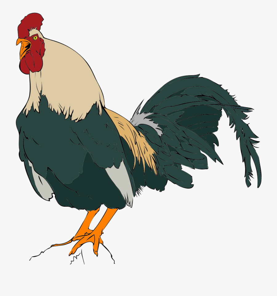 Name Of Birds In Arabic , Free Transparent Clipart - ClipartKey