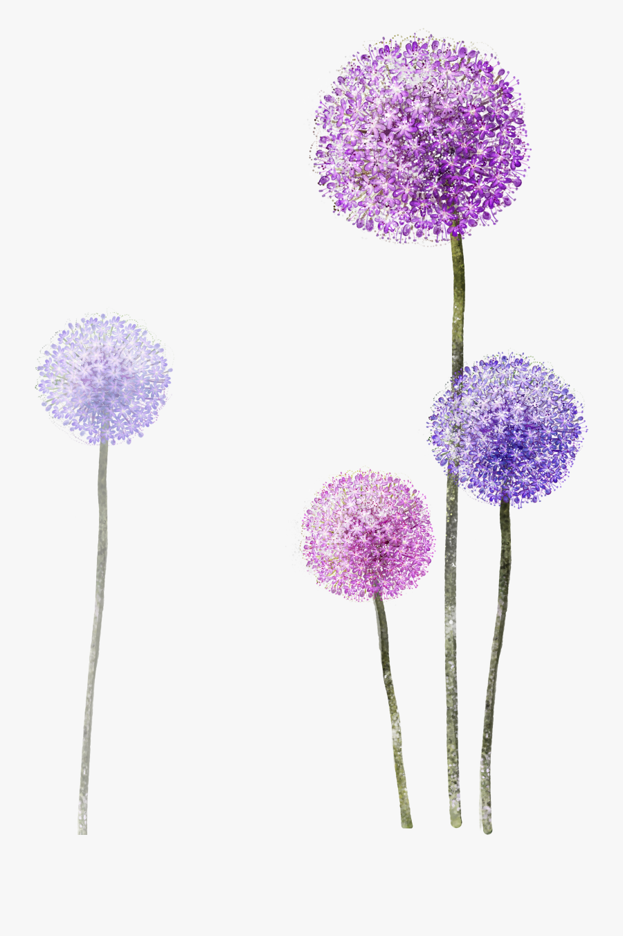 Purple Paper Wallpaper Dandelion Hq Image Free Png - Purple Dandelion ...