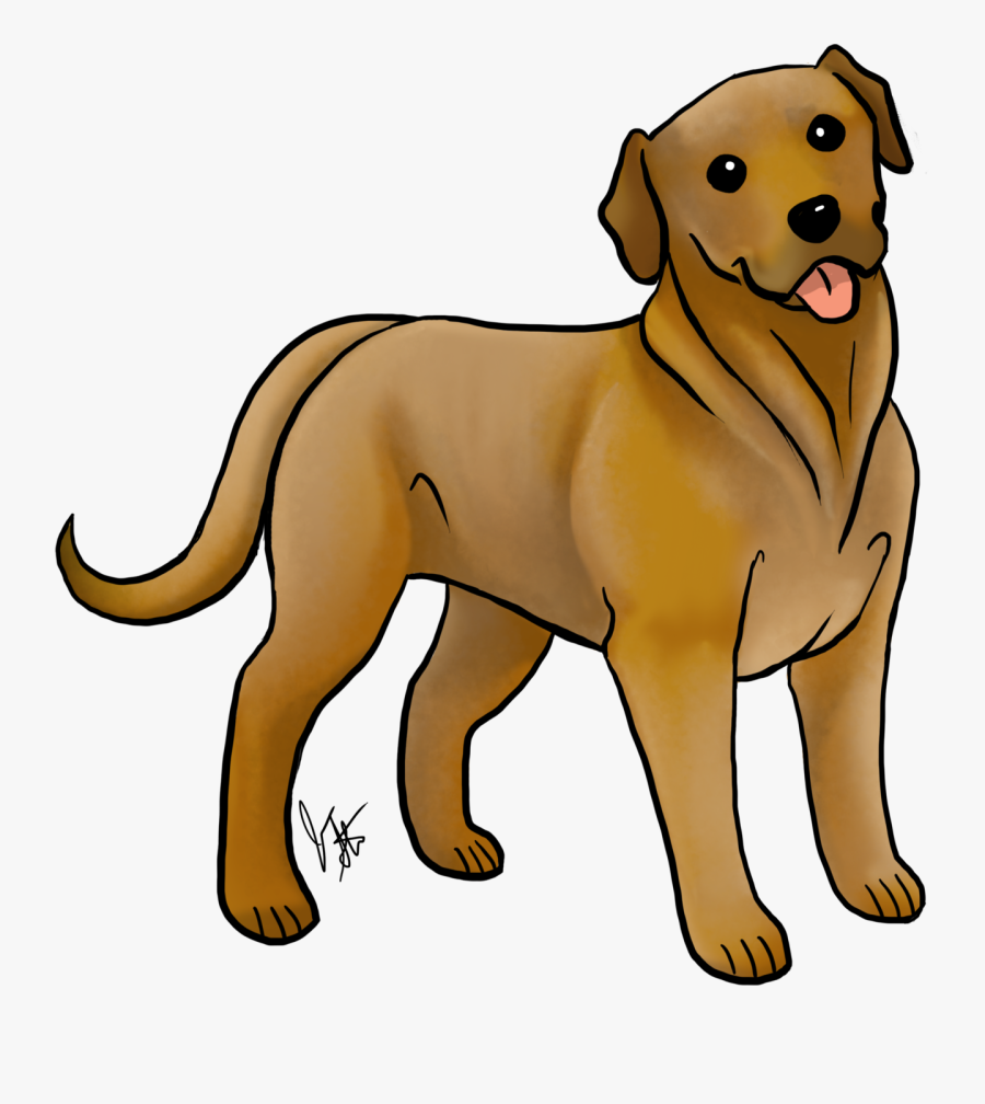 Labrador Retriever , Free Transparent Clipart - ClipartKey