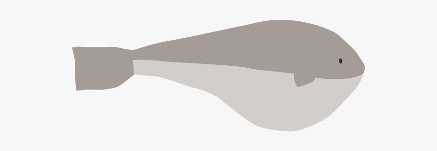 Pacific Halibut , Free Transparent Clipart - ClipartKey