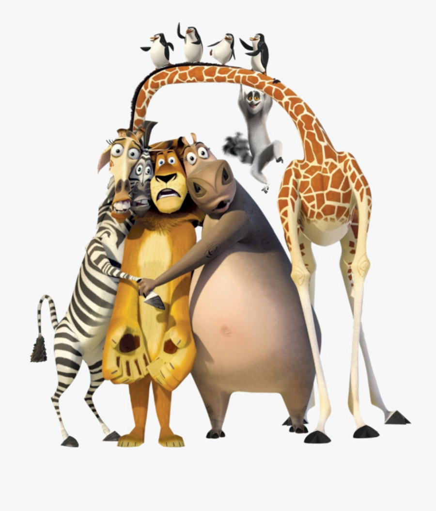 #madagascar #alex #marty #gloria #melman - Madagascar Png , Free ... #madagascar #alex #marty #gloria #melman - Madagascar Png , Free ...
