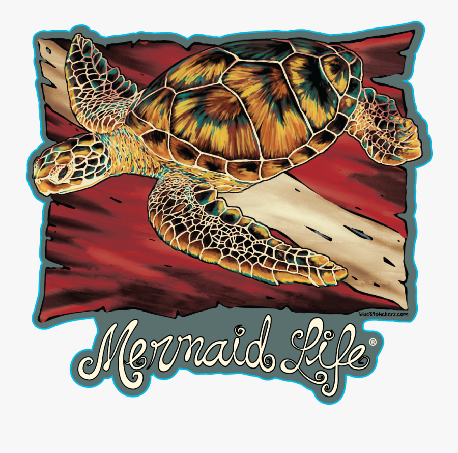 Hawksbill Sea Turtle , Free Transparent Clipart - ClipartKey