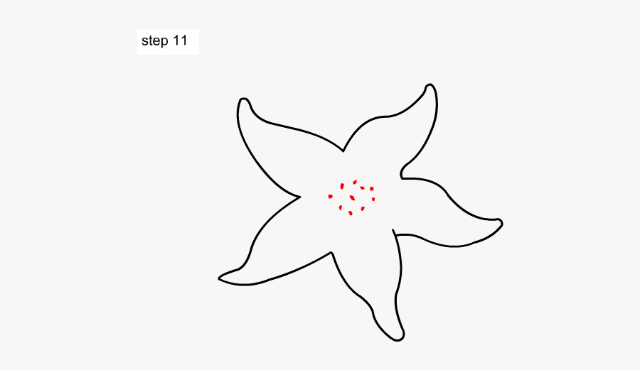 Drawing Starfish Simple - Line Art , Free Transparent Clipart - ClipartKey