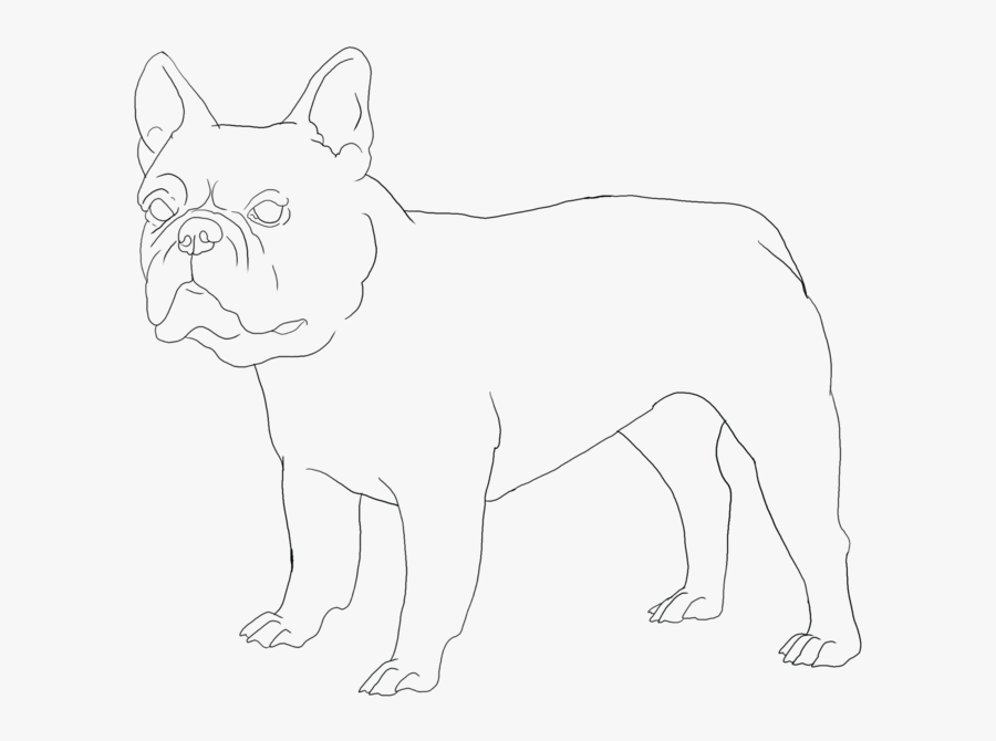 Drawing Bulldogs Simple - Bull And Terrier , Free Transparent Clipart ...