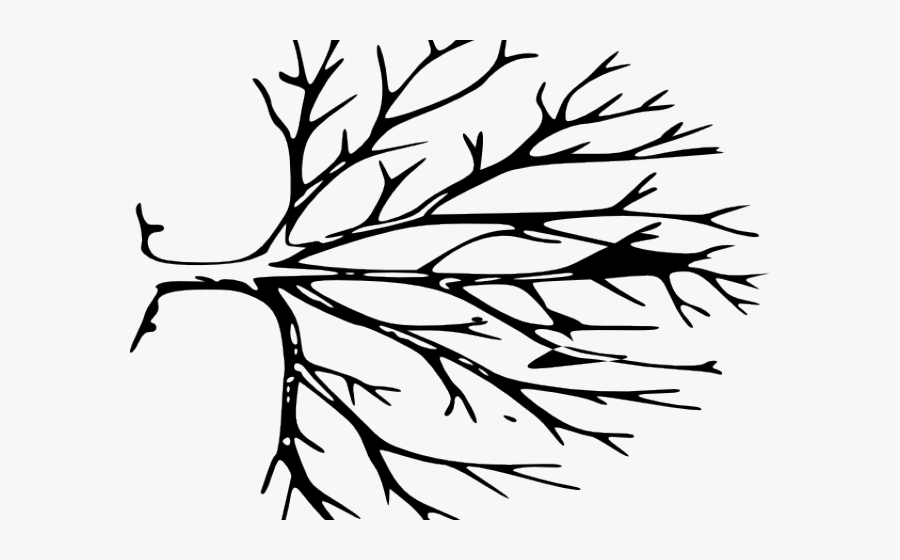 Bush Clipart Bare - Large Printable Tree Template , Free Transparent ...