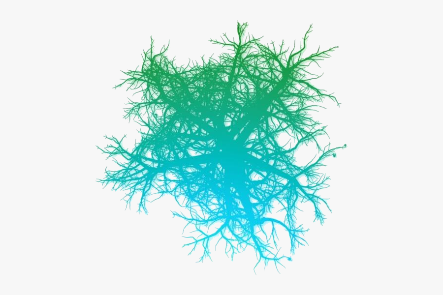 Dead Plants Art Png With Transparent Background - Grass , Free ...