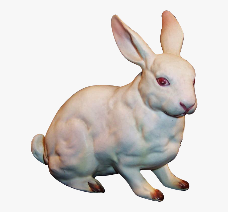 Albino Bunny Transparent Background , Free Transparent Clipart - ClipartKey