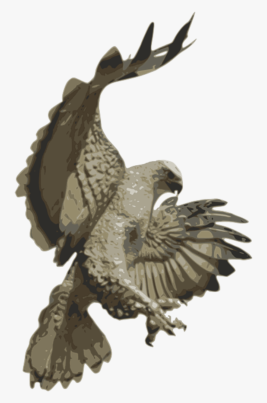 Falcon Flying Png , Free Transparent Clipart - ClipartKey