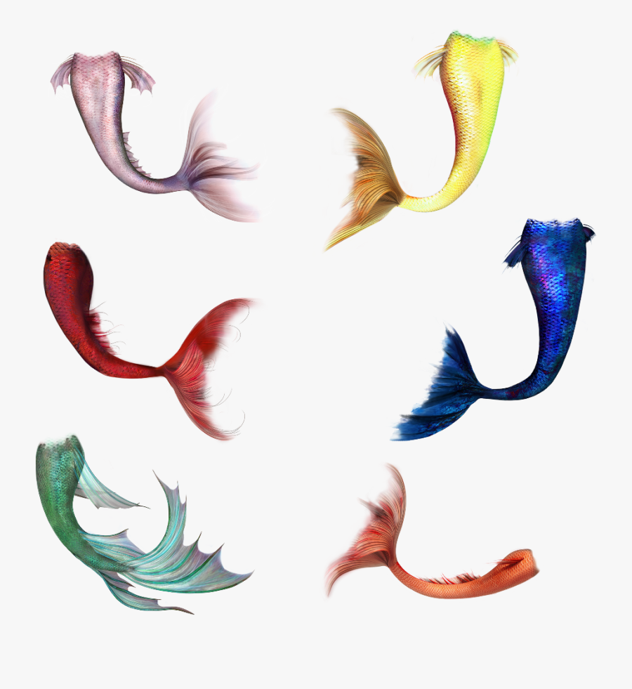 Red Mermaid Tail Png Clipart , Png Download - Mermaid Tail Png Free ...