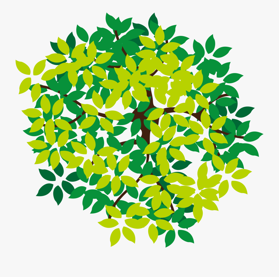 Lush Top Tree Icon Png Download Free Clipart - Tree Top Vector Png ...