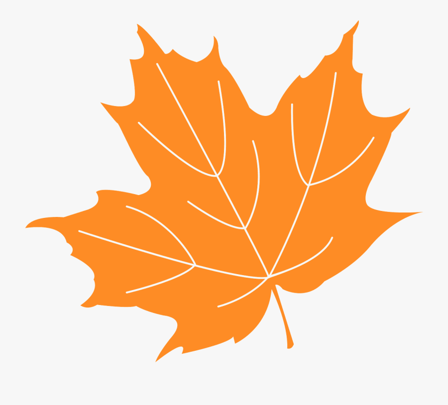 Maple Leaf Free Vector , Free Transparent Clipart - ClipartKey