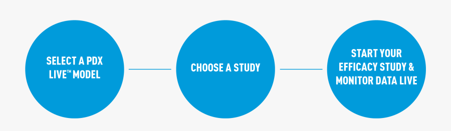 Pdx Live - Corrosion Monitoring , Free Transparent Clipart - ClipartKey