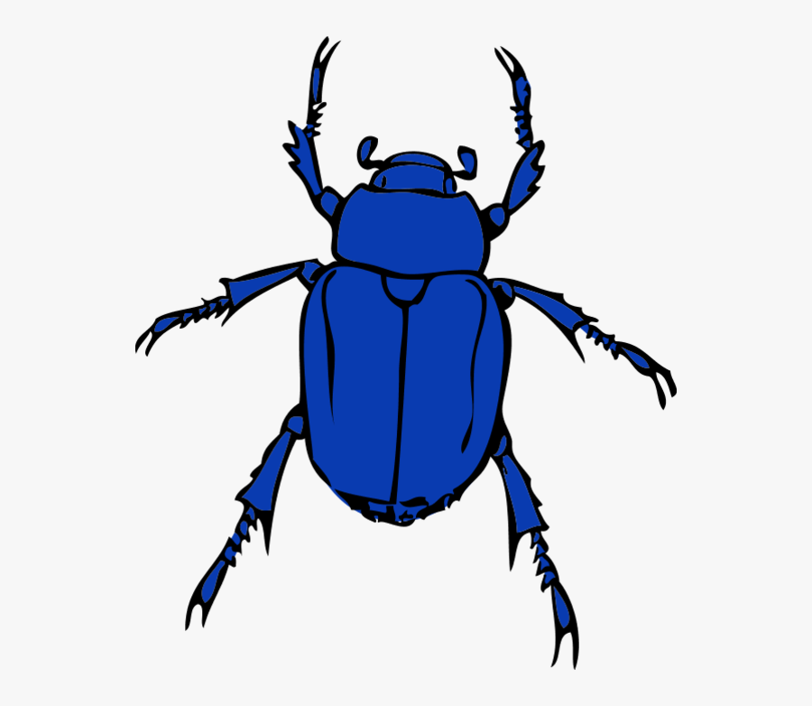 Blue Bug Clipart Clipartfest - Insect Clipart , Free Transparent ...