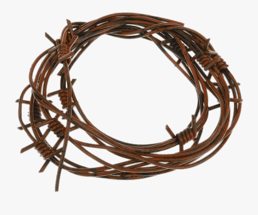 Barbed Wire Fake - Rusty Barb Wire , Free Transparent Clipart - ClipartKey