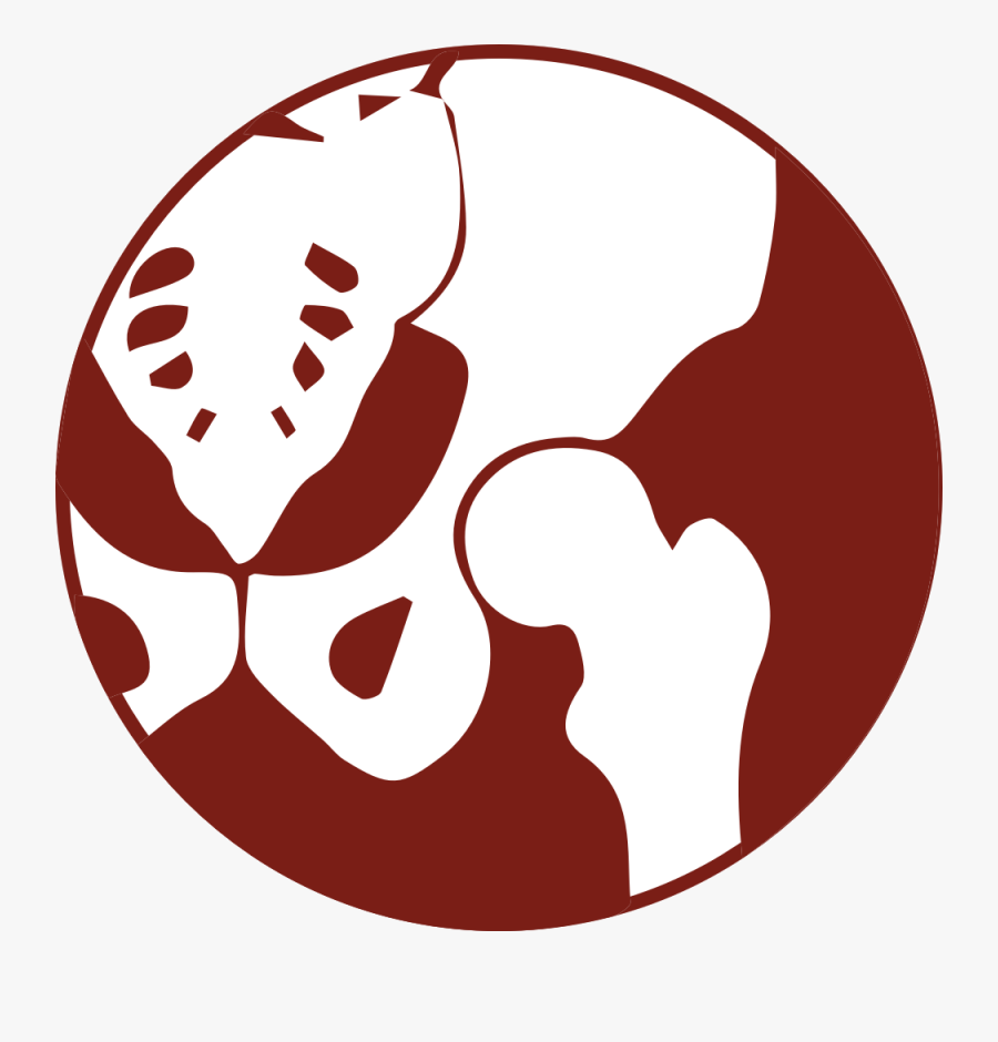 Hip Replacement Surgery Icon , Free Transparent Clipart - ClipartKey