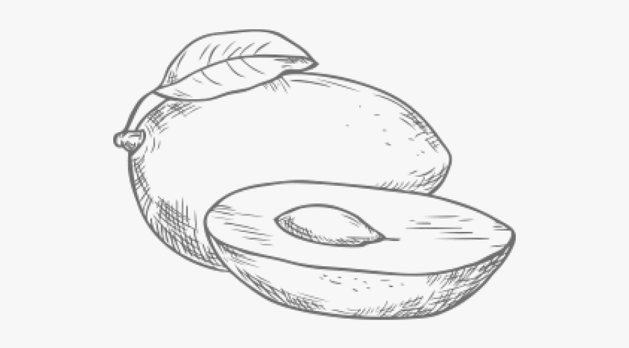 Mango Seed Clipart Black And White , Free Transparent Clipart - ClipartKey