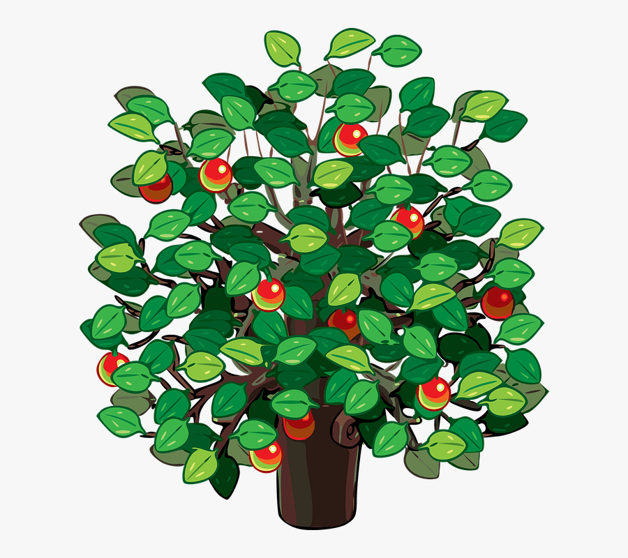 Tree, Apple Tree, Apple, Leaves, Nature, Red , Free Transparent Clipart ...
