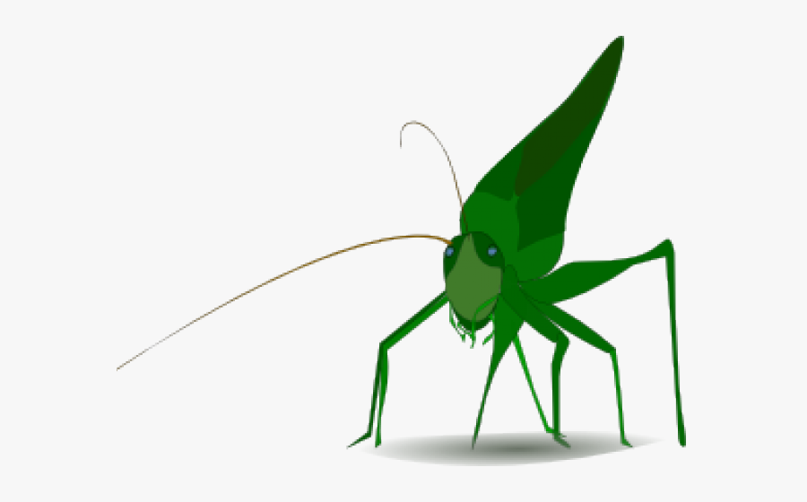 Border Clipart Insect - Grasshopper Clipart , Free Transparent Clipart ...