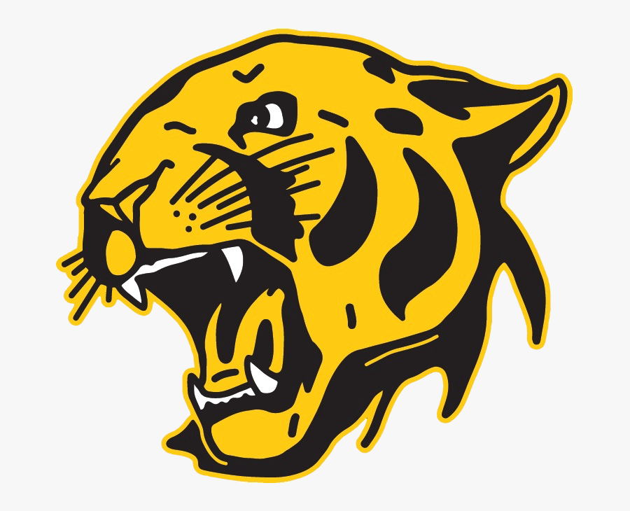 Capo Football - Capistrano Valley High School Logo , Free Transparent ...