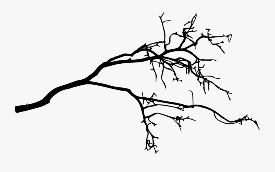 Clip Art Tree Silhouette Png - Tree Branch Transparent Background ...