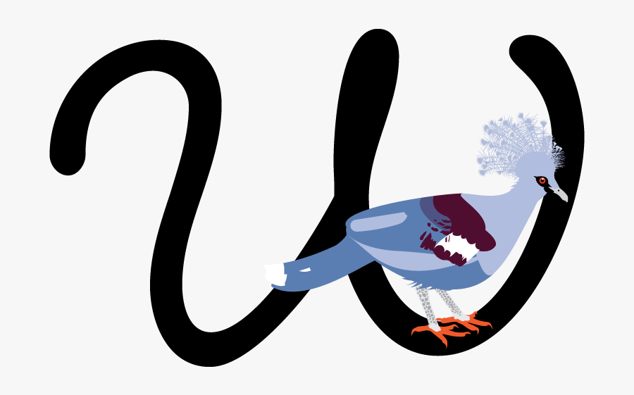 Hummingbird Clipart Xantus , Free Transparent Clipart - ClipartKey