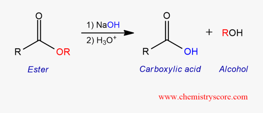 Ester Hydrolysis , Free Transparent Clipart - ClipartKey