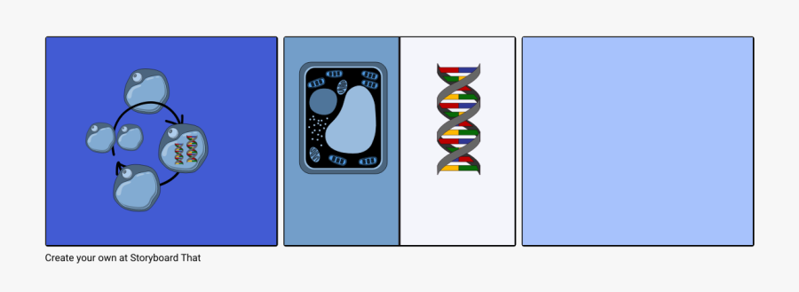 Cell Cycle Clip Art , Free Transparent Clipart - ClipartKey
