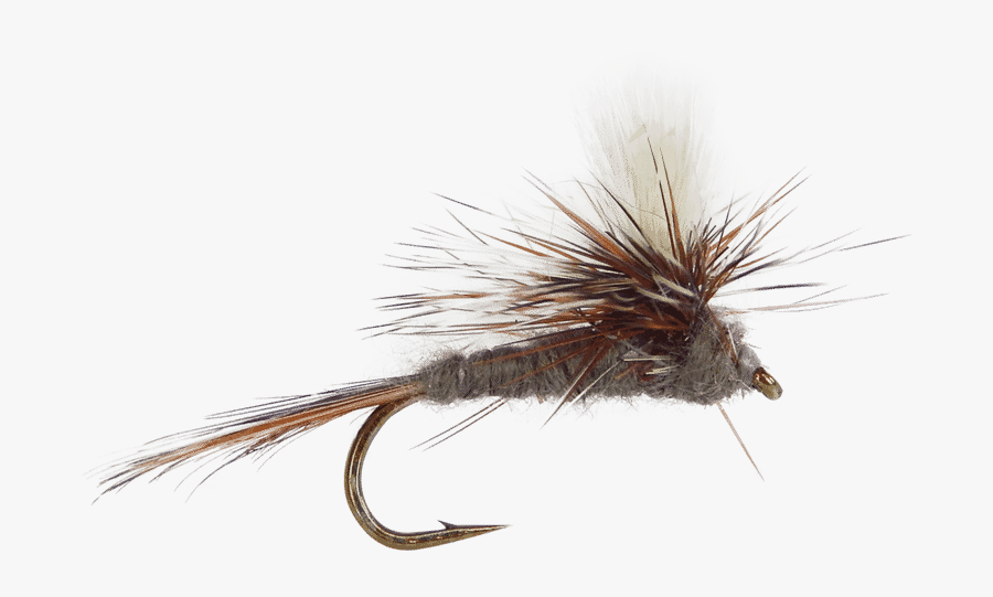 Adams Parachute Fly, Mayfly Pattern For Trout, Adams - Adams , Free ...