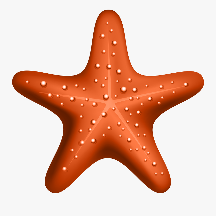 Starfish Clipart Orange , Free Transparent Clipart - ClipartKey