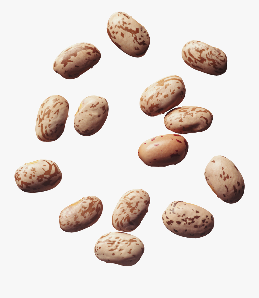 Transparent Kidney Beans Clipart - Pinto Bean Transparent Background ...