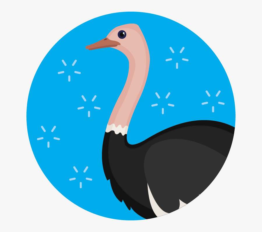 Flightless Bird , Free Transparent Clipart - ClipartKey