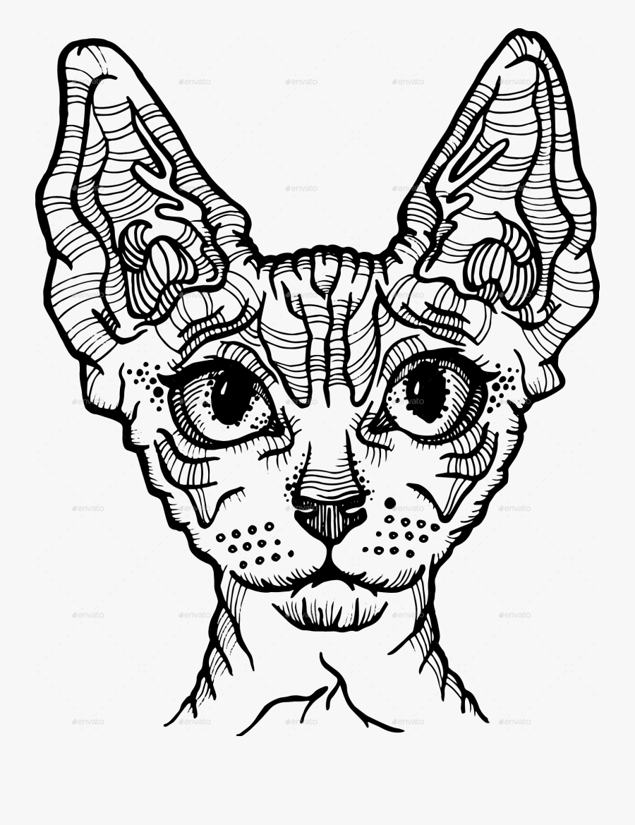 Sphynx Cat Vector Illustration - Sphynx Cat Line Art , Free Transparent ...