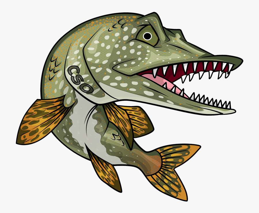 Northern Pike , Free Transparent Clipart - ClipartKey