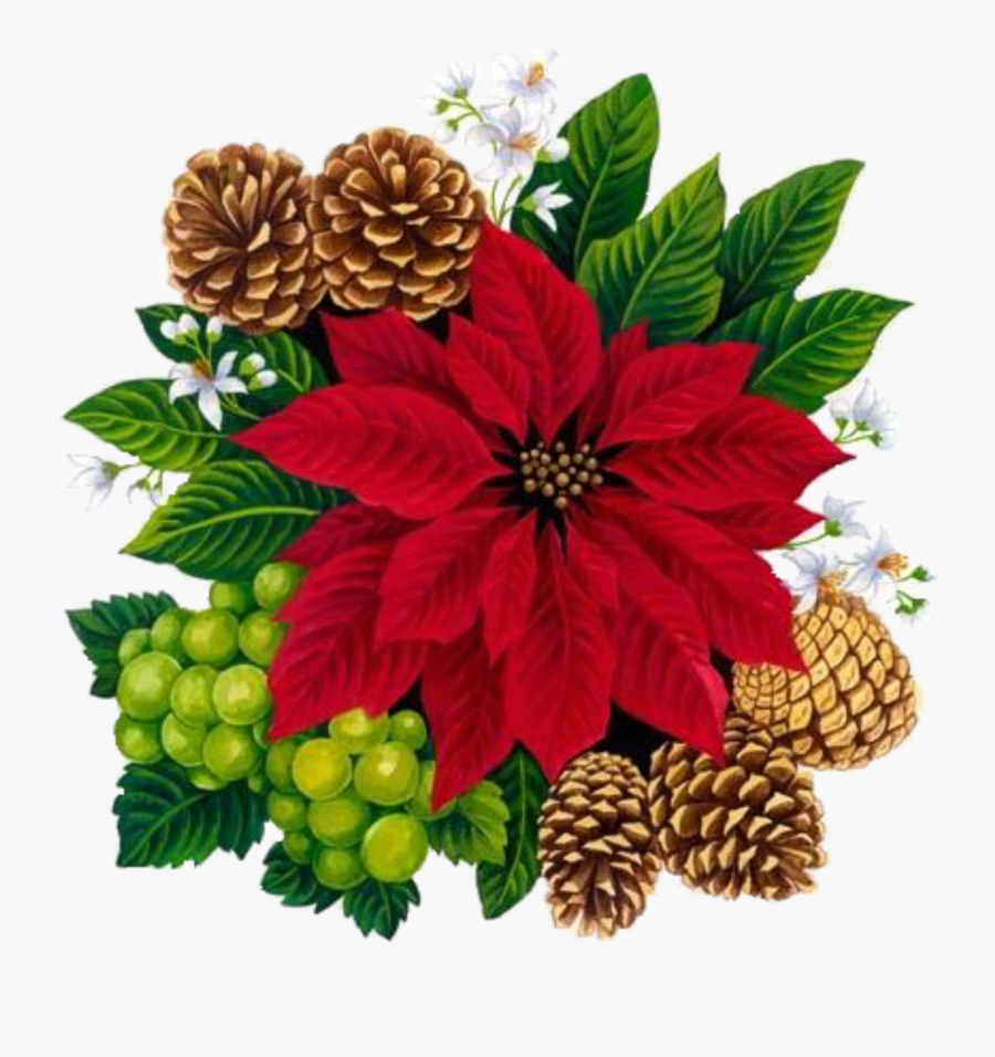 Vintage Christmas Rose Free Picture - Poinsettia And Pine Cone Clipart ...