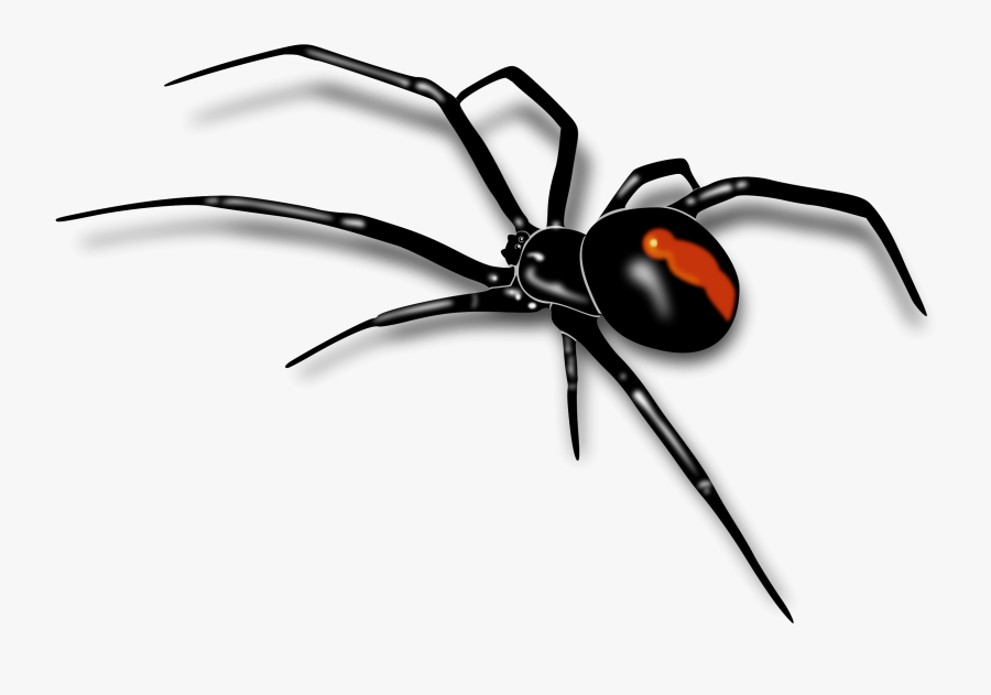 Clipartlook Cartoon Spiders - Red Back Spider Drawing , Free ...