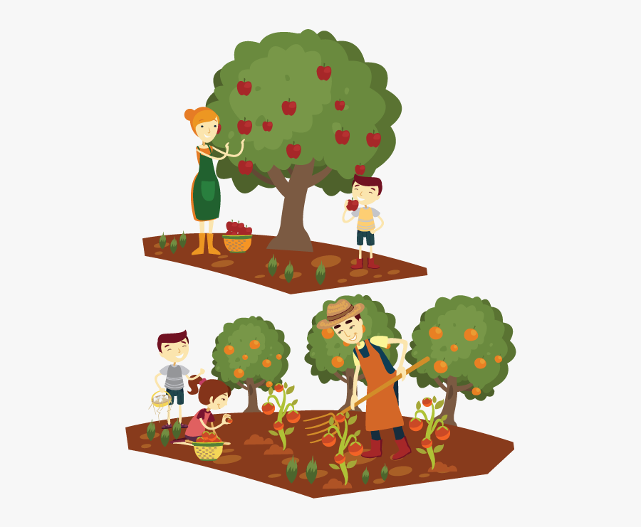 Cartoon Farmer Home - Apple Tree Picking Cartoon , Free Transparent ...