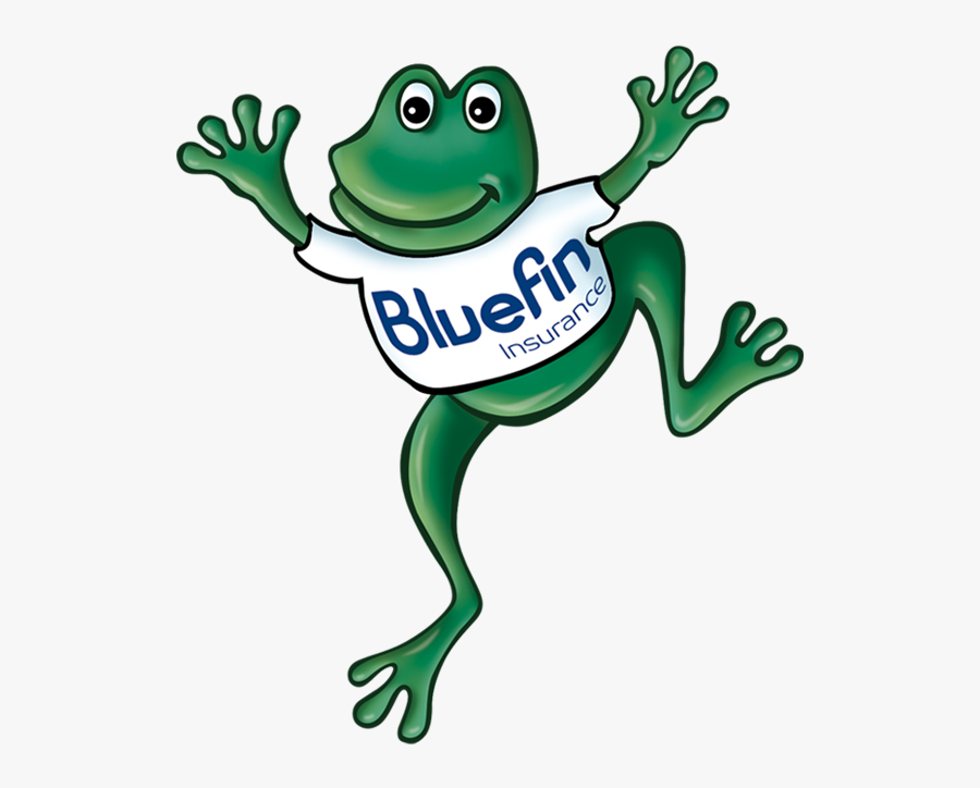 A Fantastic, Family Friendly Night Of Frog Racing Fun , Free ...