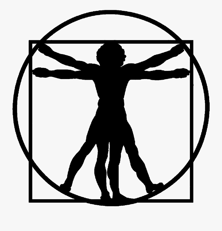 Cropped 24442130 Leonardo Da Vinci S Vitruvian Man - Da Vinci Man Clip ...