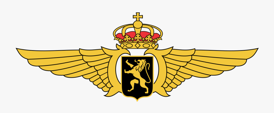 Brevet Wing , Free Transparent Clipart - ClipartKey
