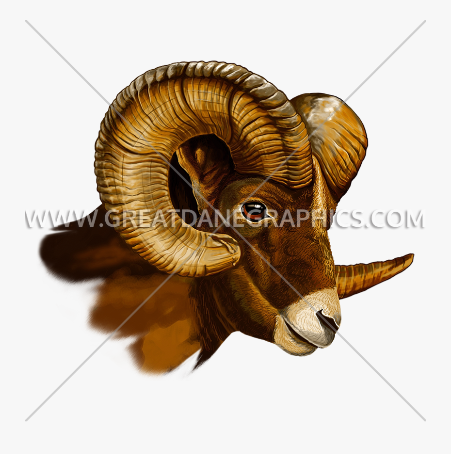 Side View Production Ready - Ram Head Side View , Free Transparent ...