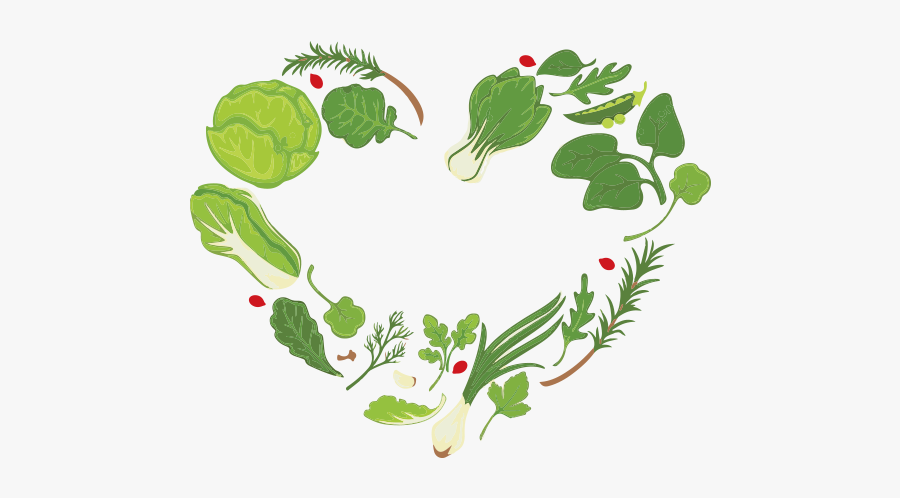 Lechuga Vector , Free Transparent Clipart - ClipartKey