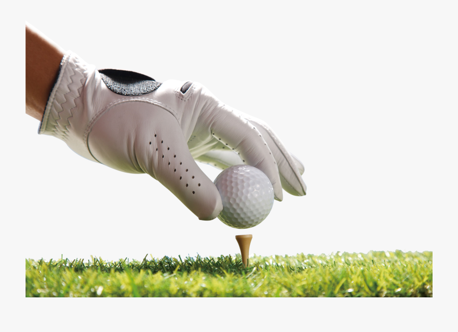Play Golf Png Download - Golf Transparent Background , Free Transparent ...