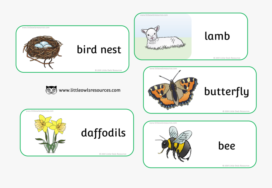 Spring Words Cover , Free Transparent Clipart - ClipartKey