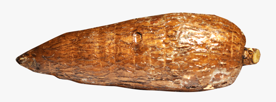 Cassava Clipart For Print - Cassava Png , Free Transparent Clipart ...