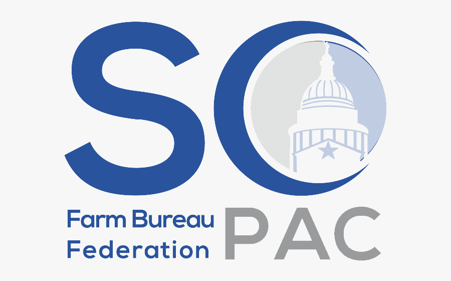 Federal Pac Logo - Graphic Design , Free Transparent Clipart - ClipartKey