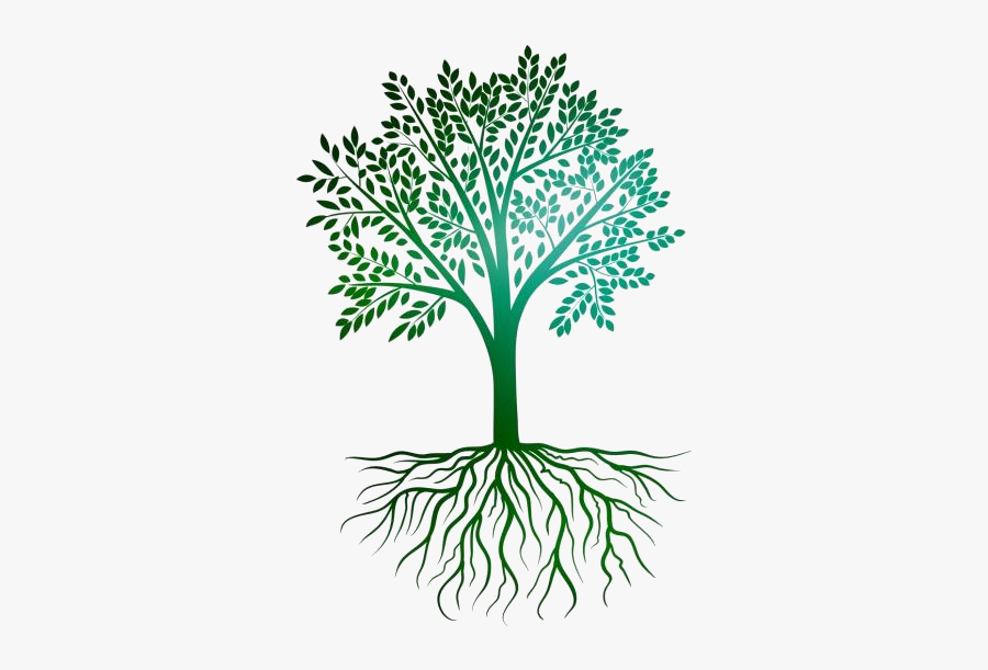 Twisted Tree Roots Png Transparent Images - Tree With Roots Clipart Png ...