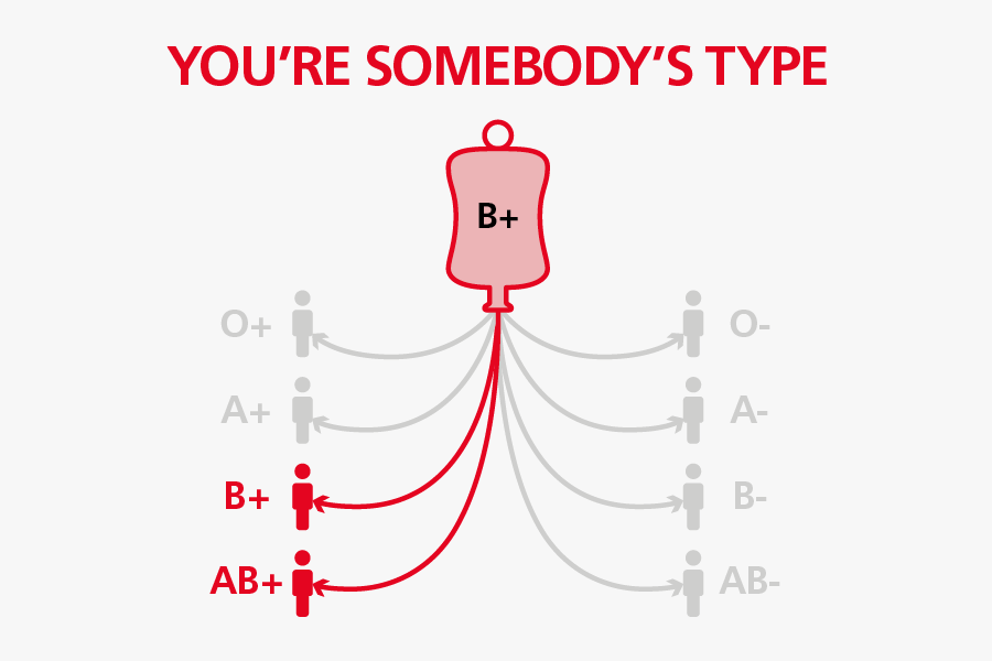 Who Can Receive B Positive Blood - B+ Blood Type , Free Transparent ...
