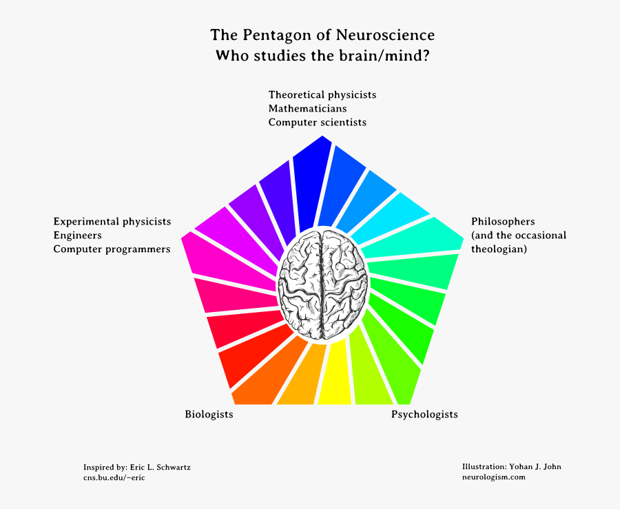 Neuropentagram1 - Neuroscience Fields , Free Transparent Clipart ...