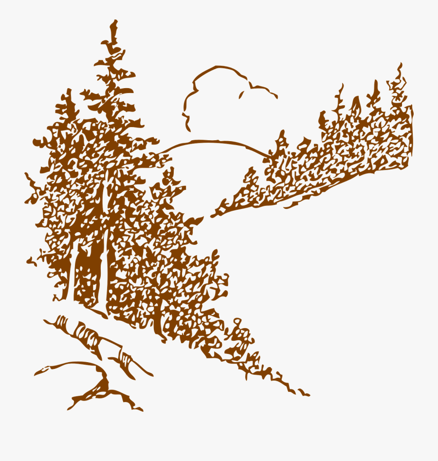 Pine Tree Line Art , Free Transparent Clipart - ClipartKey